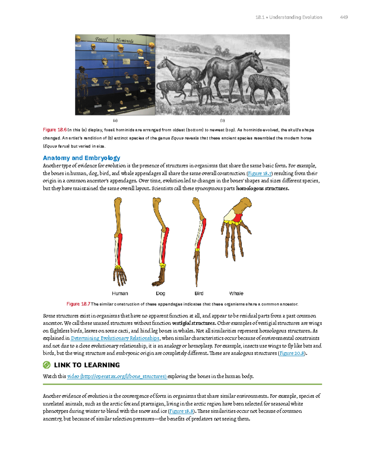 Chapter 18 Evolution and the Origin of Species Part 4 - Figure 18 In this (a) display, fossil ...