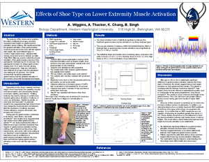Exercise 6 - Important details - loose connective tissue : Dense ...