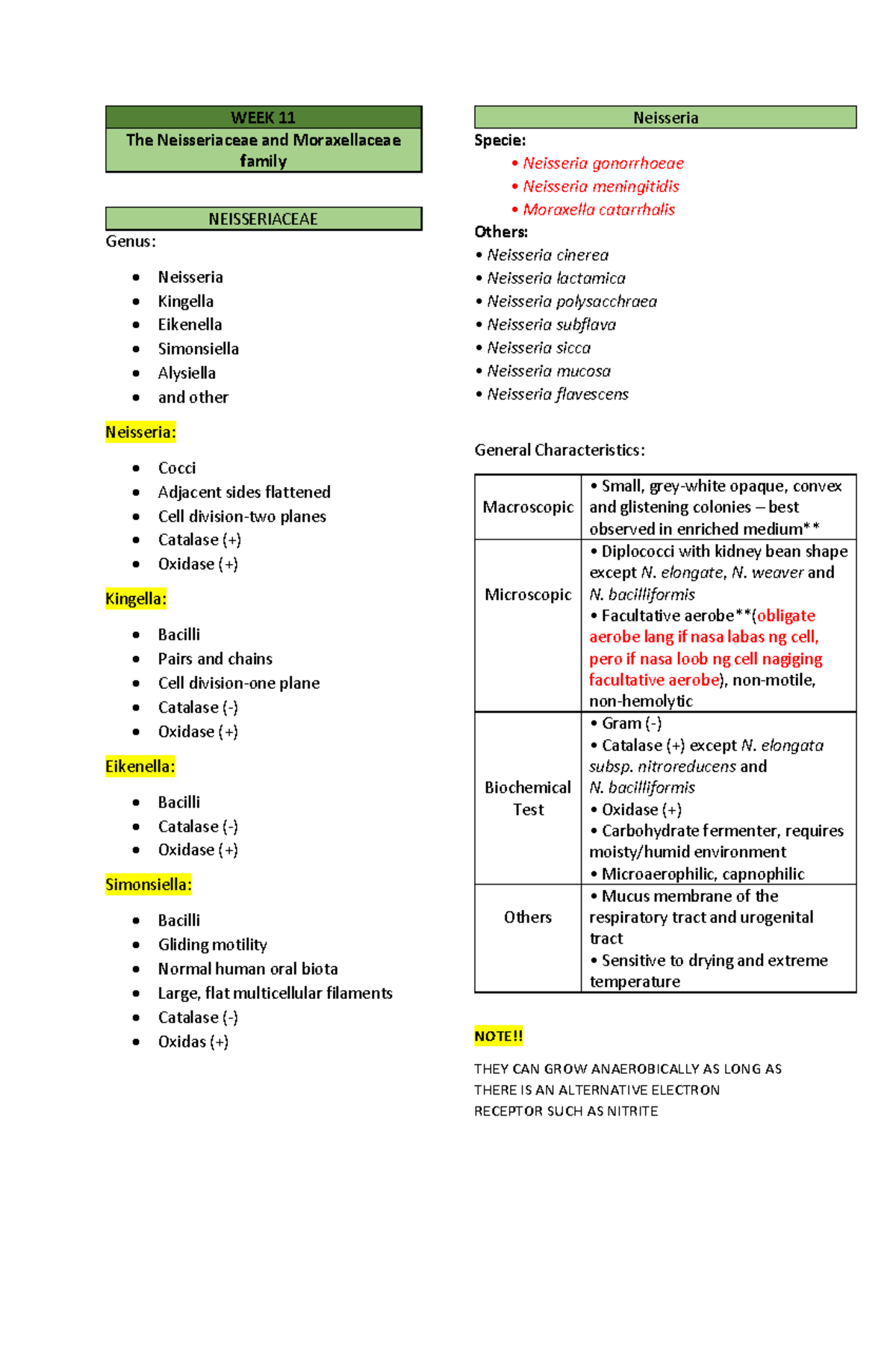 neisseria & moraxella - WEEK 11 The Neisseriaceae and Moraxellaceae ...