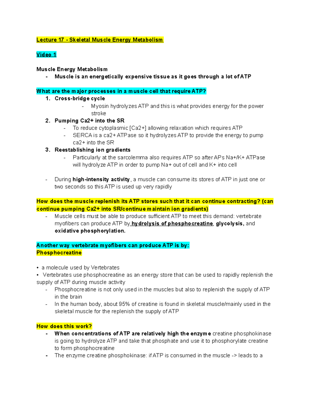 370 - Lecture 17 - Skeletal Muscle Energy Metabolism - Lecture 17 ...