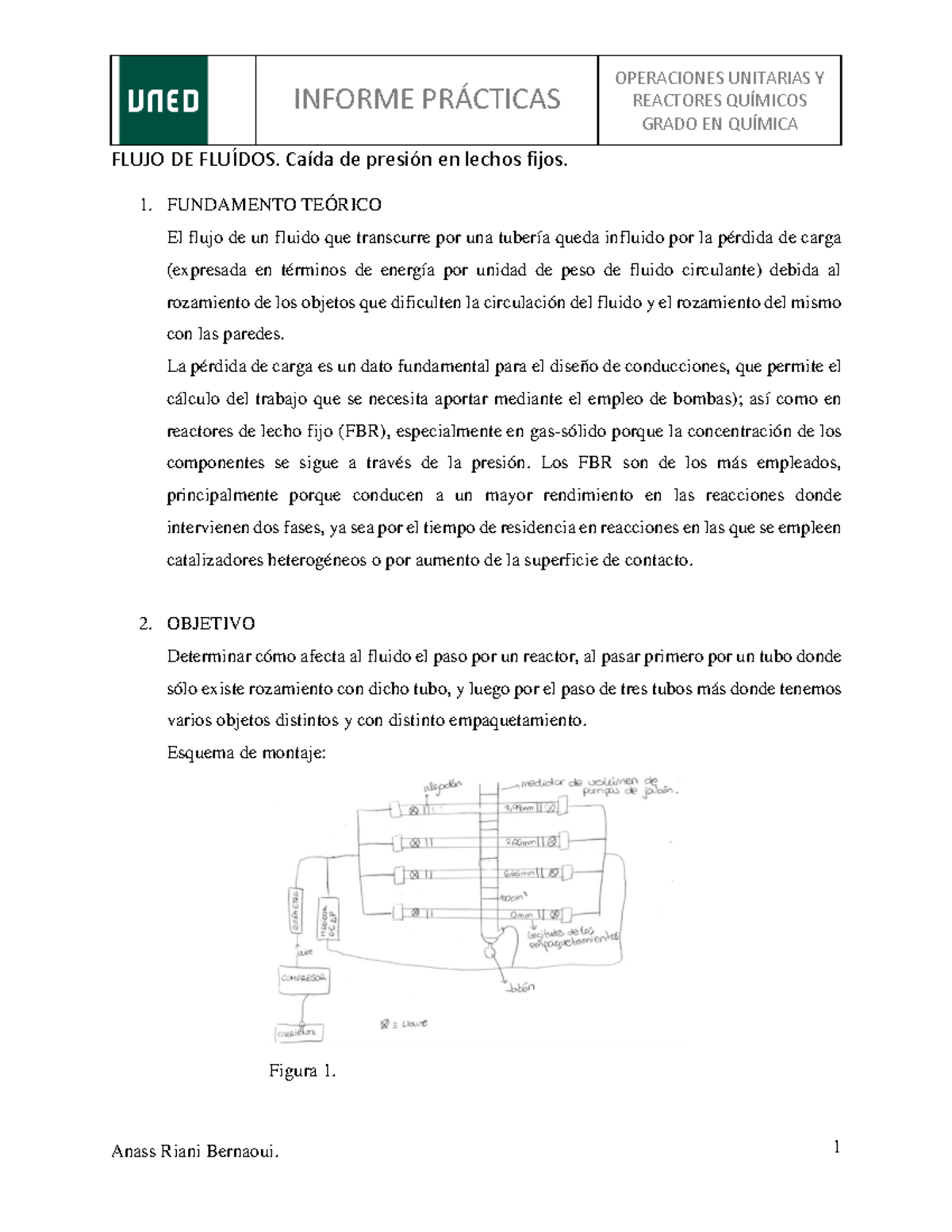 Informe de Practicas Reactoes Quimicos, Anas Riani - INFORME PRÁCTICAS REACTORES QUÍMICOS GRADO ...