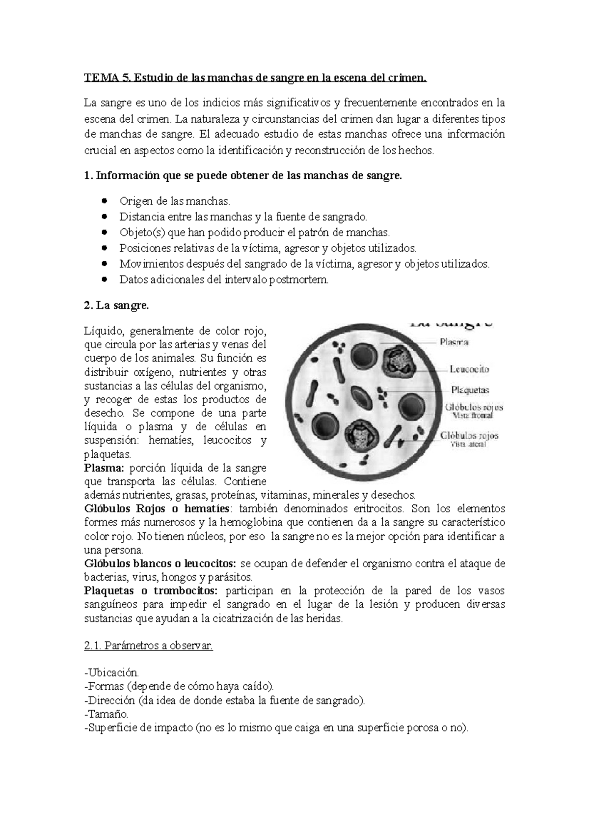 Tema 5 policía científica - TEMA 5. Estudio de las manchas de sangre en ...