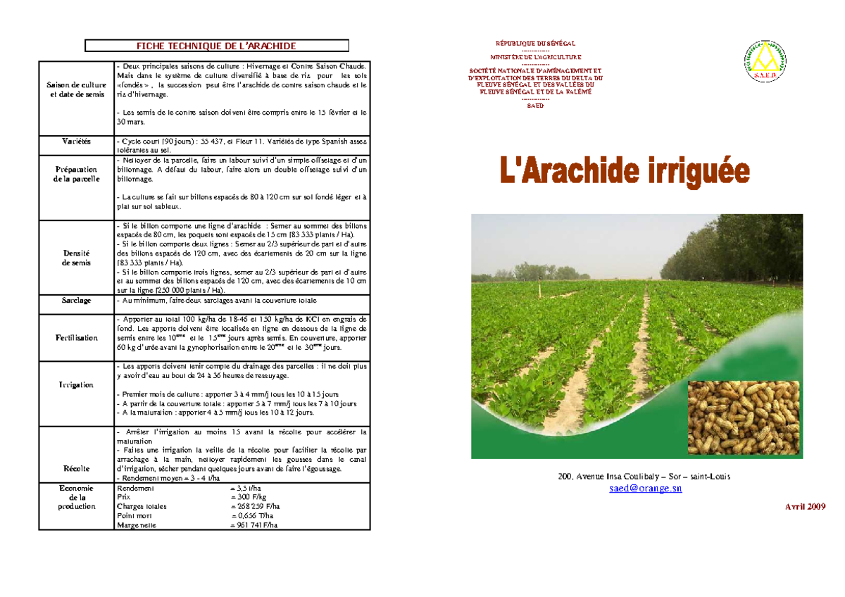 Fiche arachide - Ceci est un bon document - FICHE TECHNIQUE DE L ...