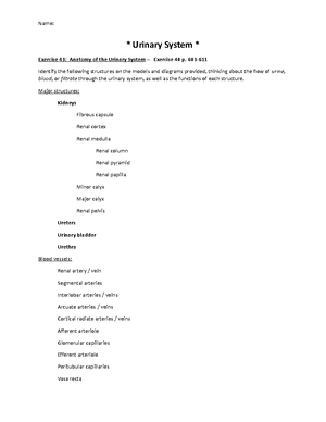 BIO 171 Exercise 36 - Respiratory system handout (1) - Name ...