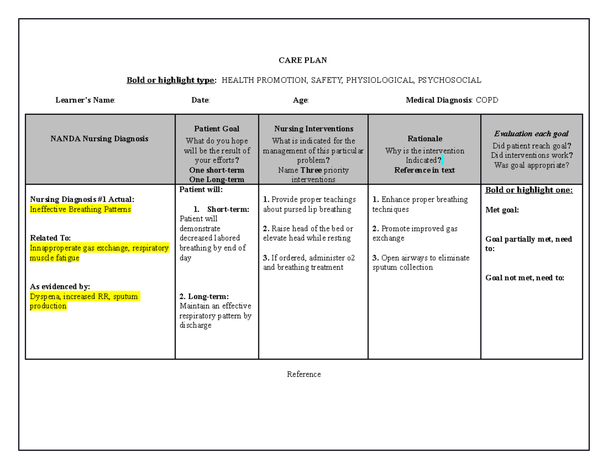 Care Plan Template - CARE PLAN Bold or highlight type: HEALTH PROMOTION ...