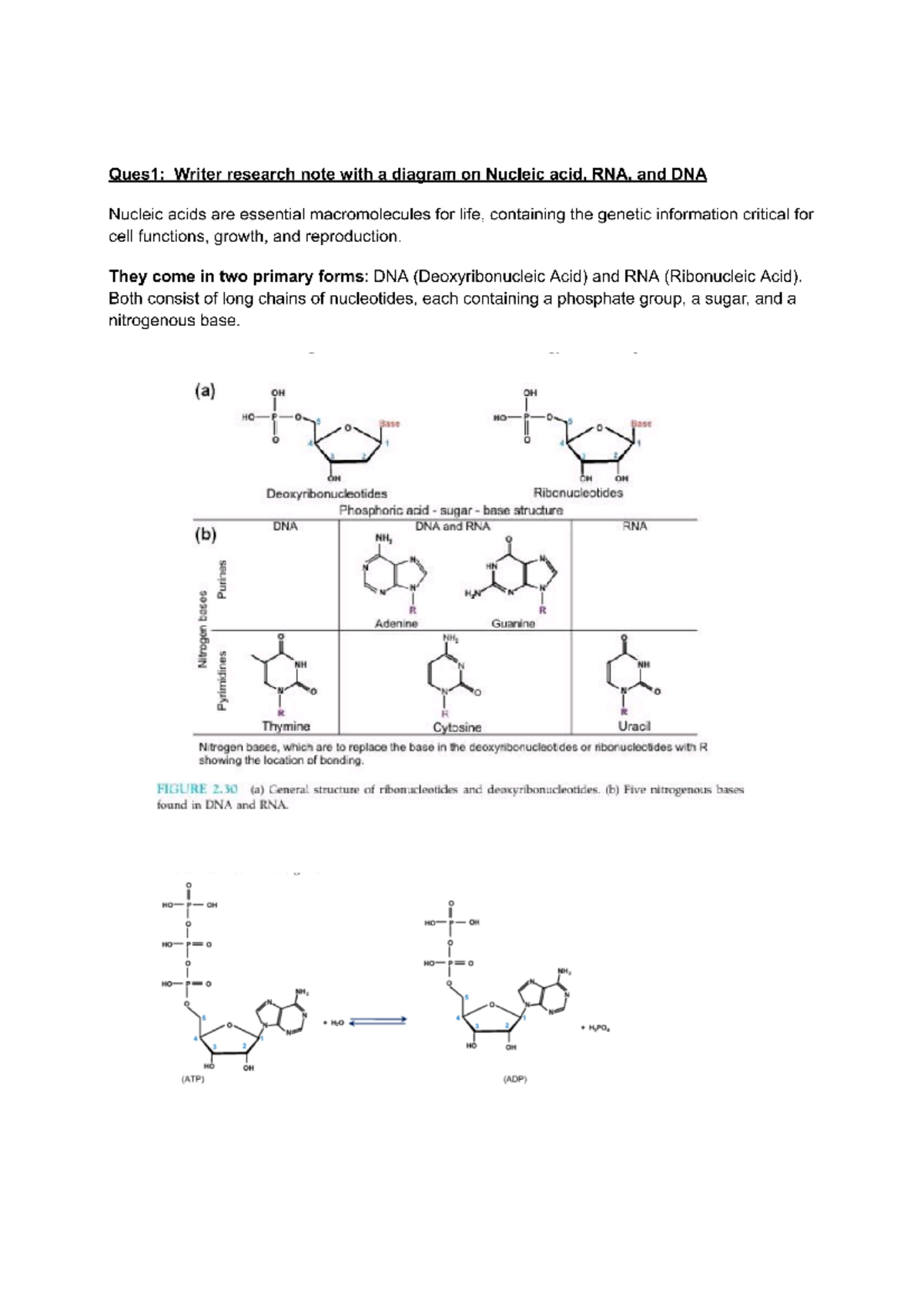 Ch5090&sem - Nacbcbgg - Ques1: Writer research note with a diagram on ...