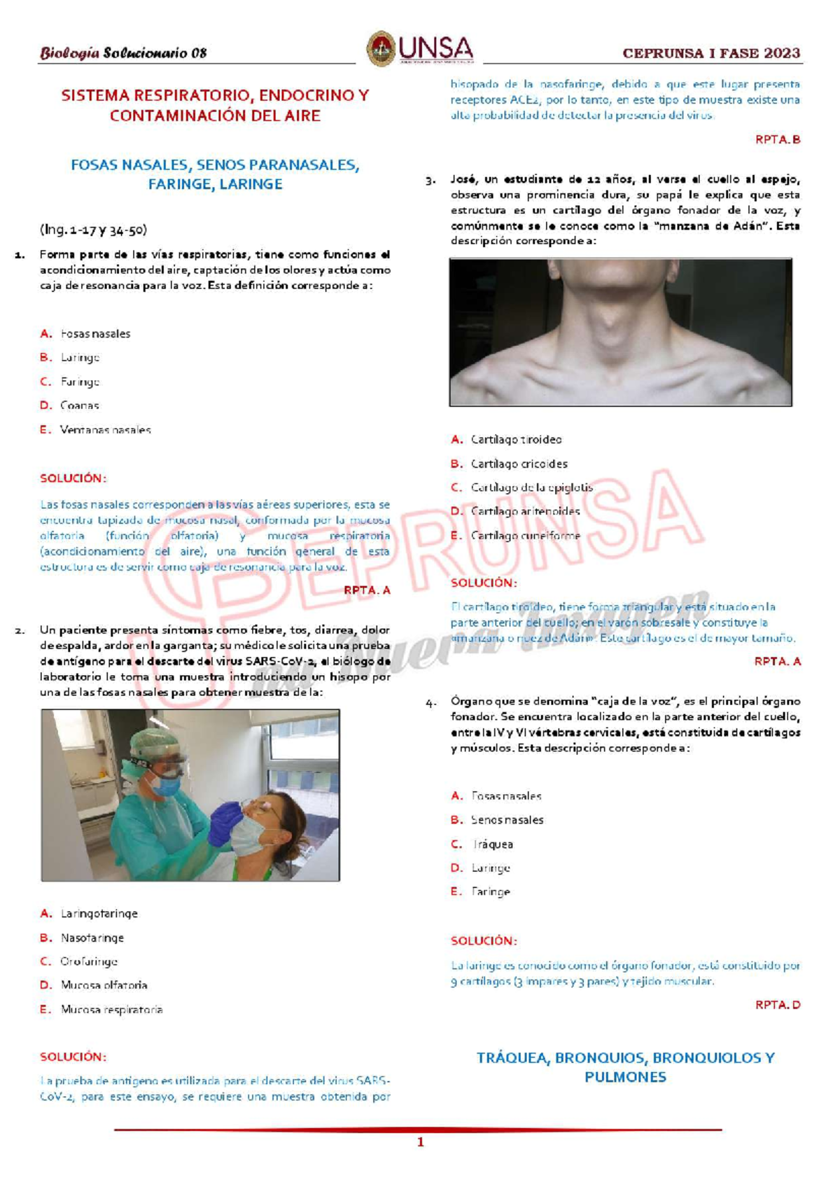 1. Practica N° 08 Solucionario Biología - Ceprunsa I FASE 2023 - Biologia - Studocu