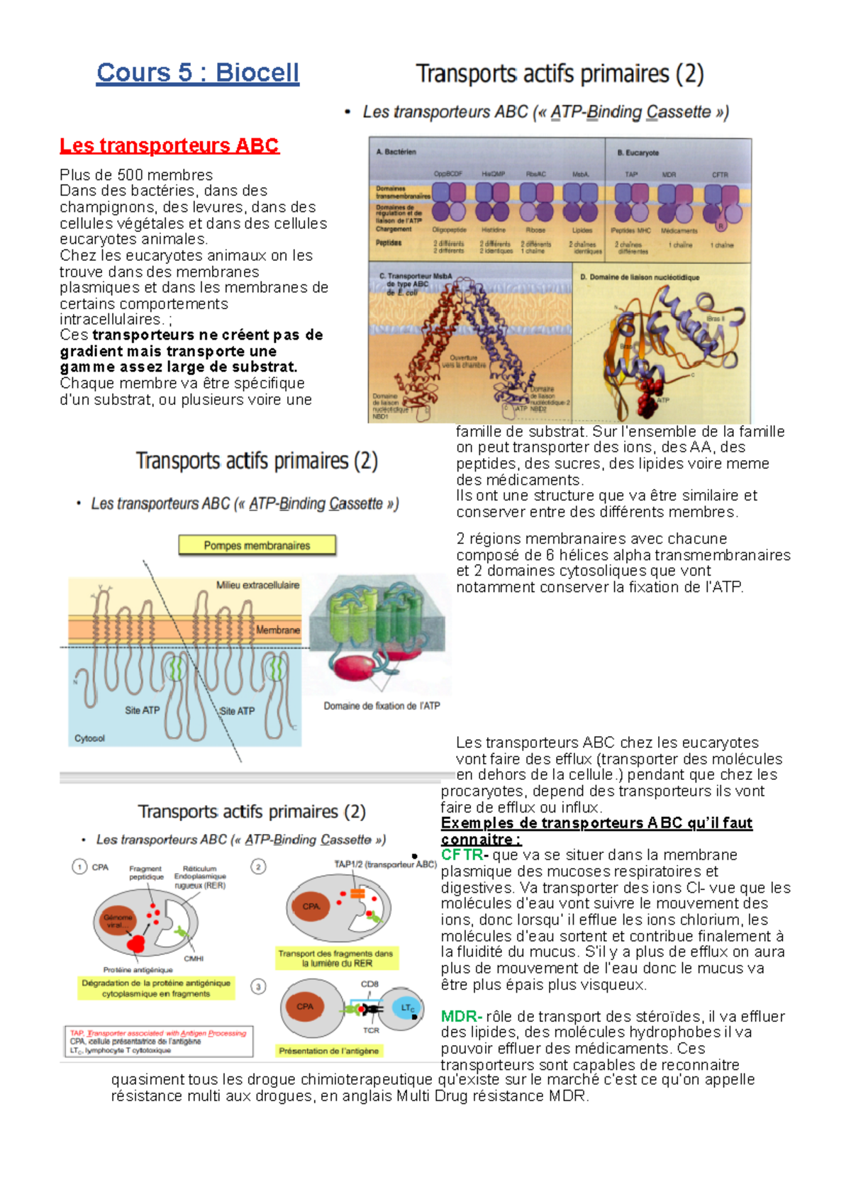 5 pdf - cours de biologie cellulaire detaillé avec des schémas - Cours 5 : Biocell Les ...