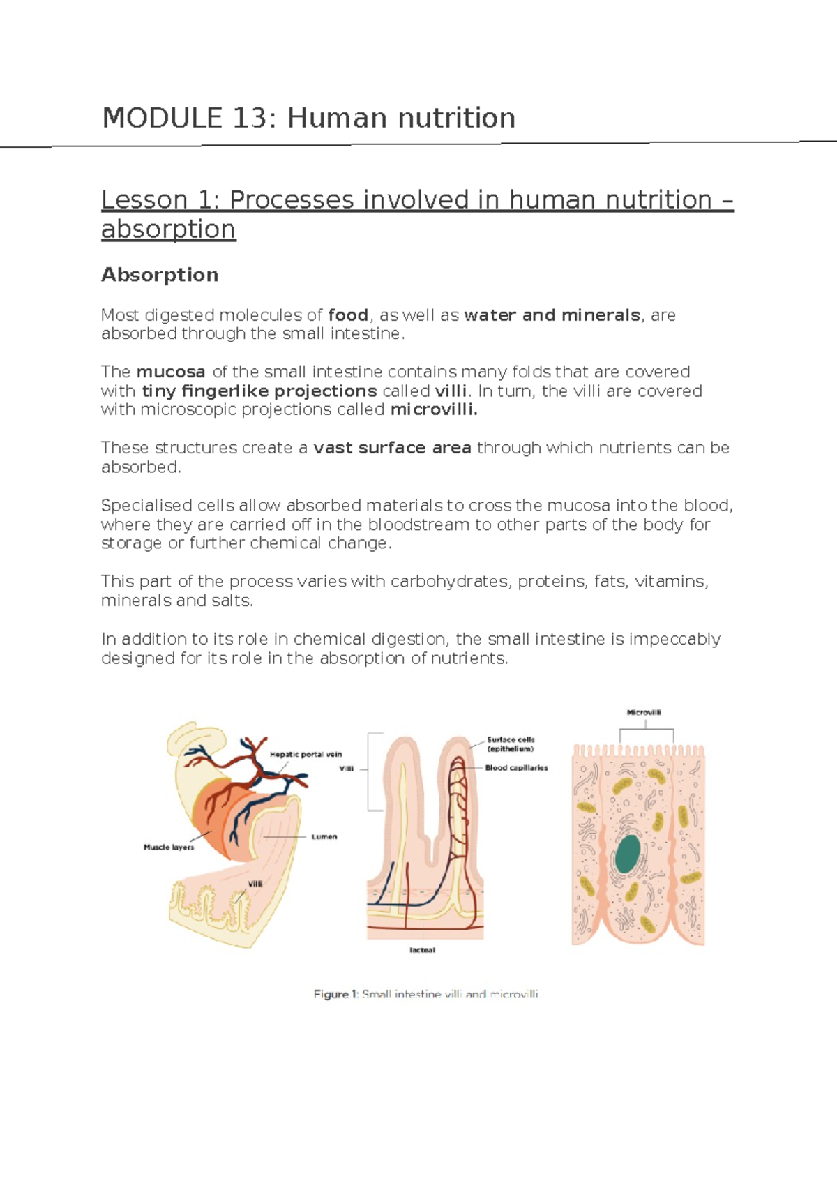 Module 13- Human Nutrition - MODULE 13: Human nutrition Lesson 1: Processes involved in human ...