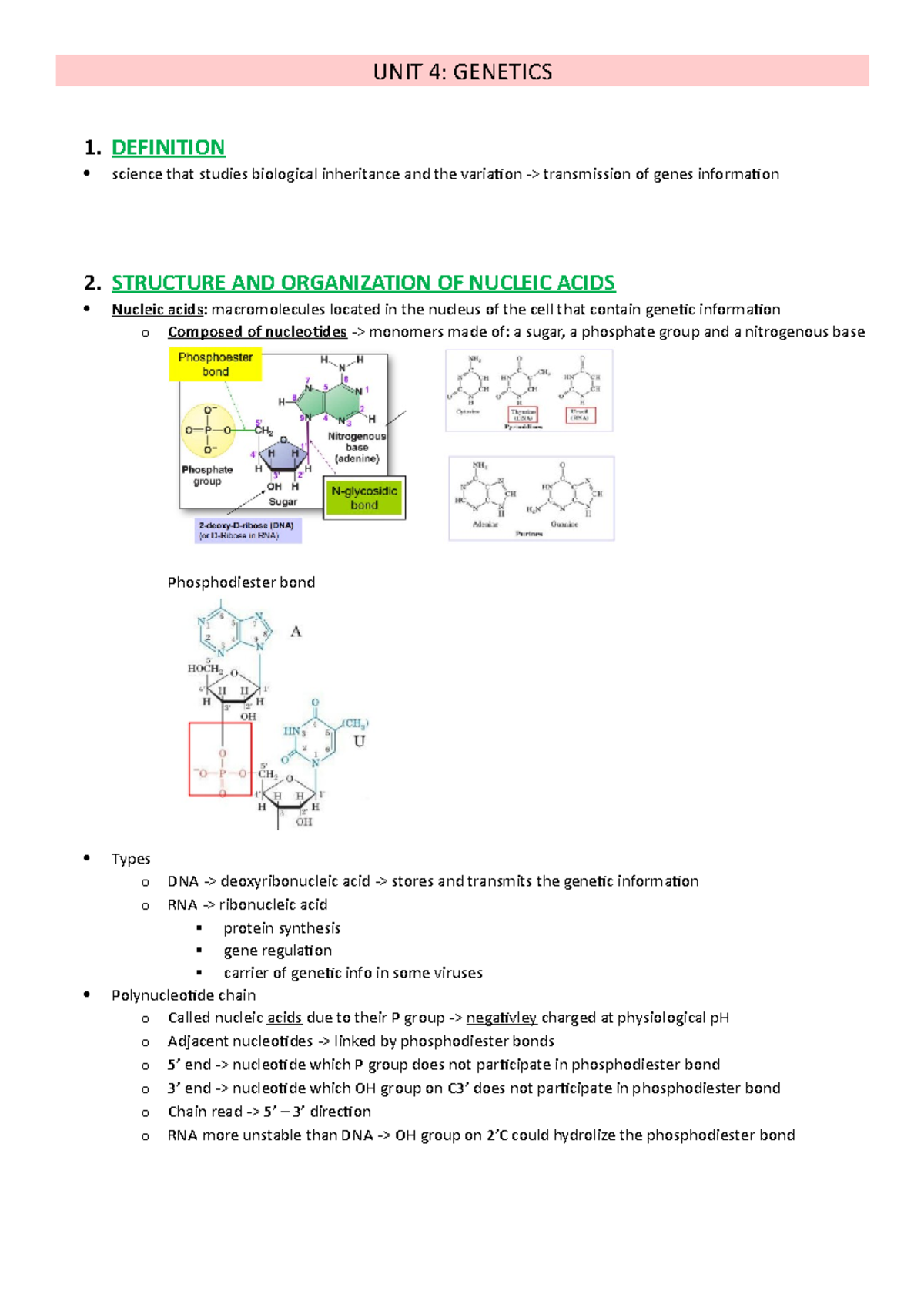 UNIT 4 genetics - Apuntes bioquímica T4 en inglés (replicación ...