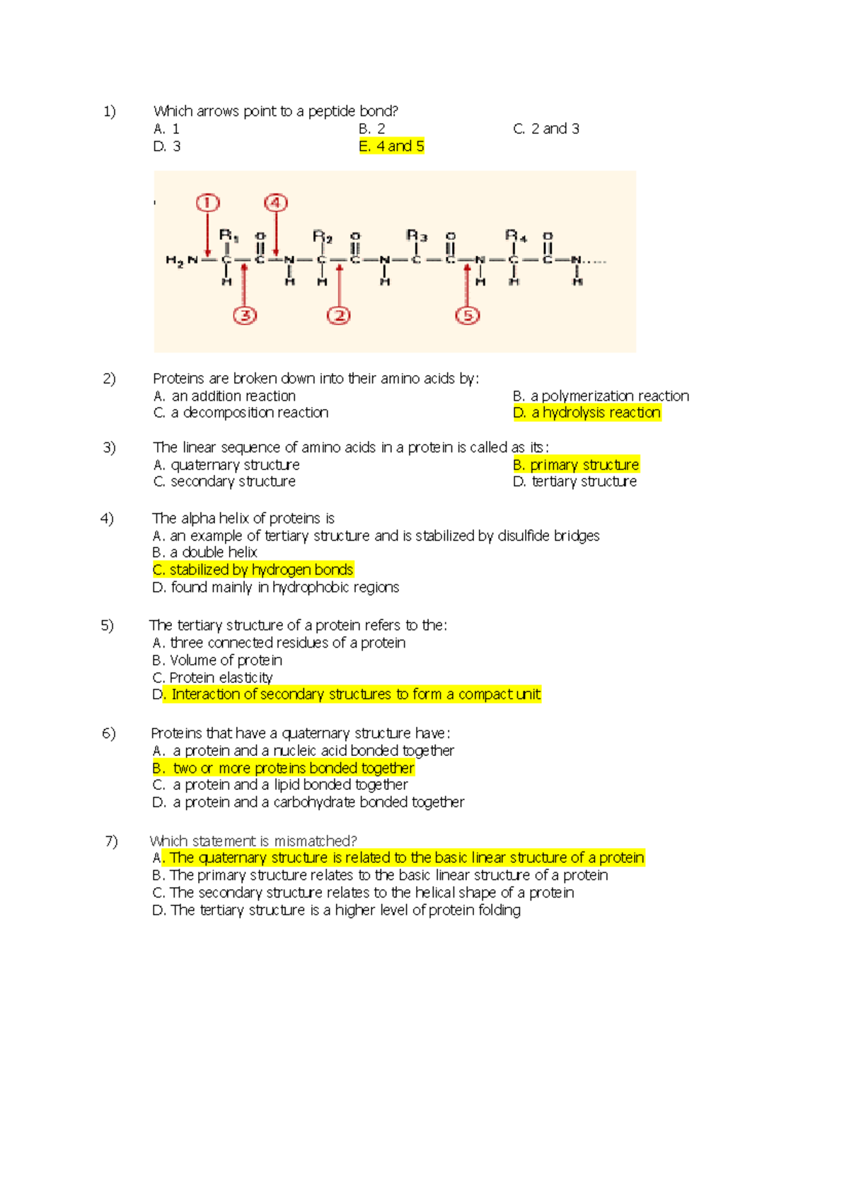 Practice 4 Protein - Which arrows point to a peptide bond? A. 1 B. 2 C ...