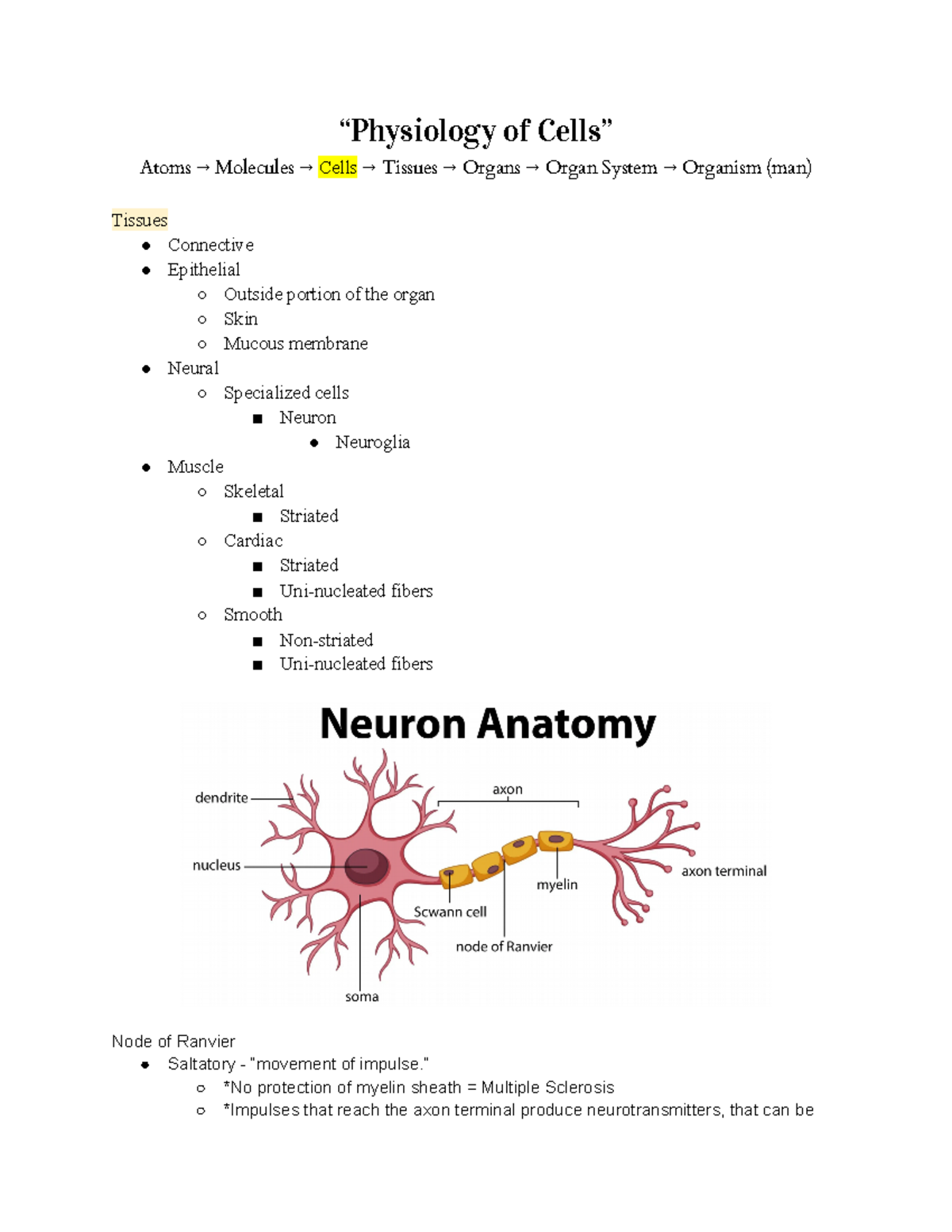 Physiology of Cells - “Physiology of Cells” Atoms → Molecules → Cells → ...