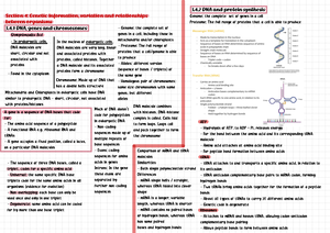 Lyon ten step - We hope our music can spare you some head rooms to stay ...