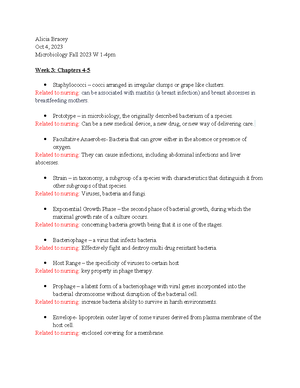 Ch 38 Urinary Outline - ... - 1 Chapter 38 Urinary Elimination Urinary ...