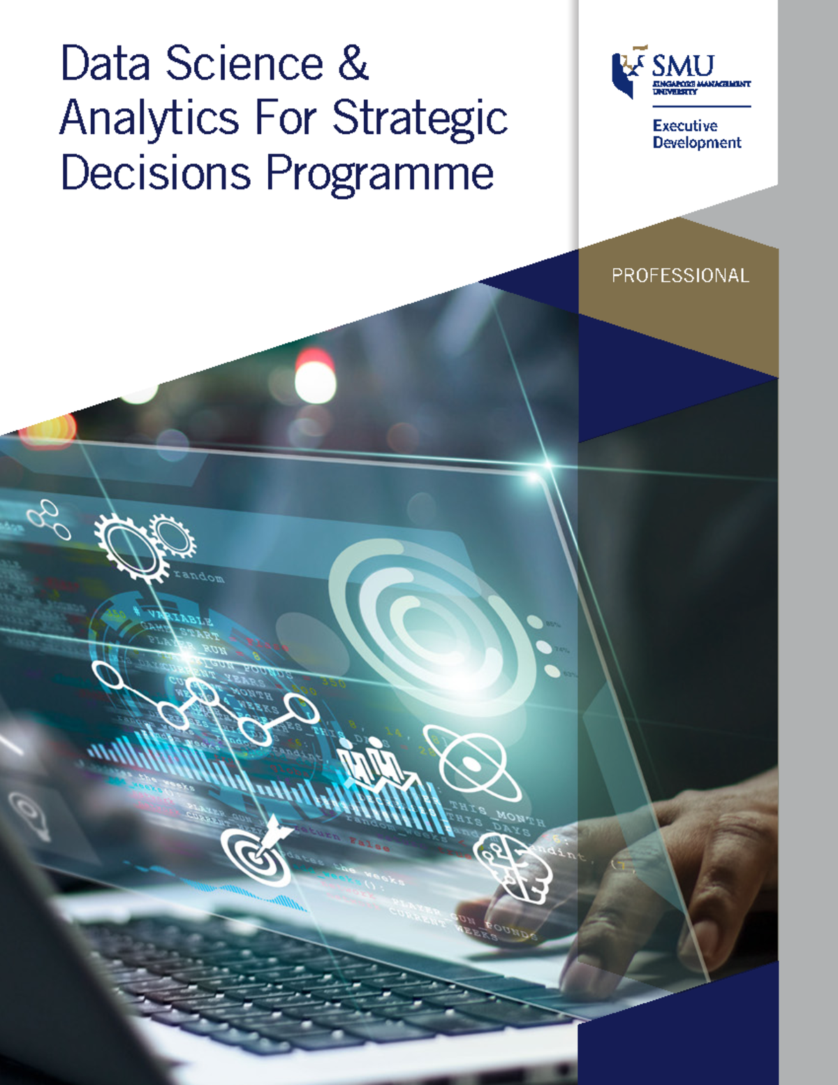 SMU DS Brochure 040123 - essay - Development Executive Data Science ...