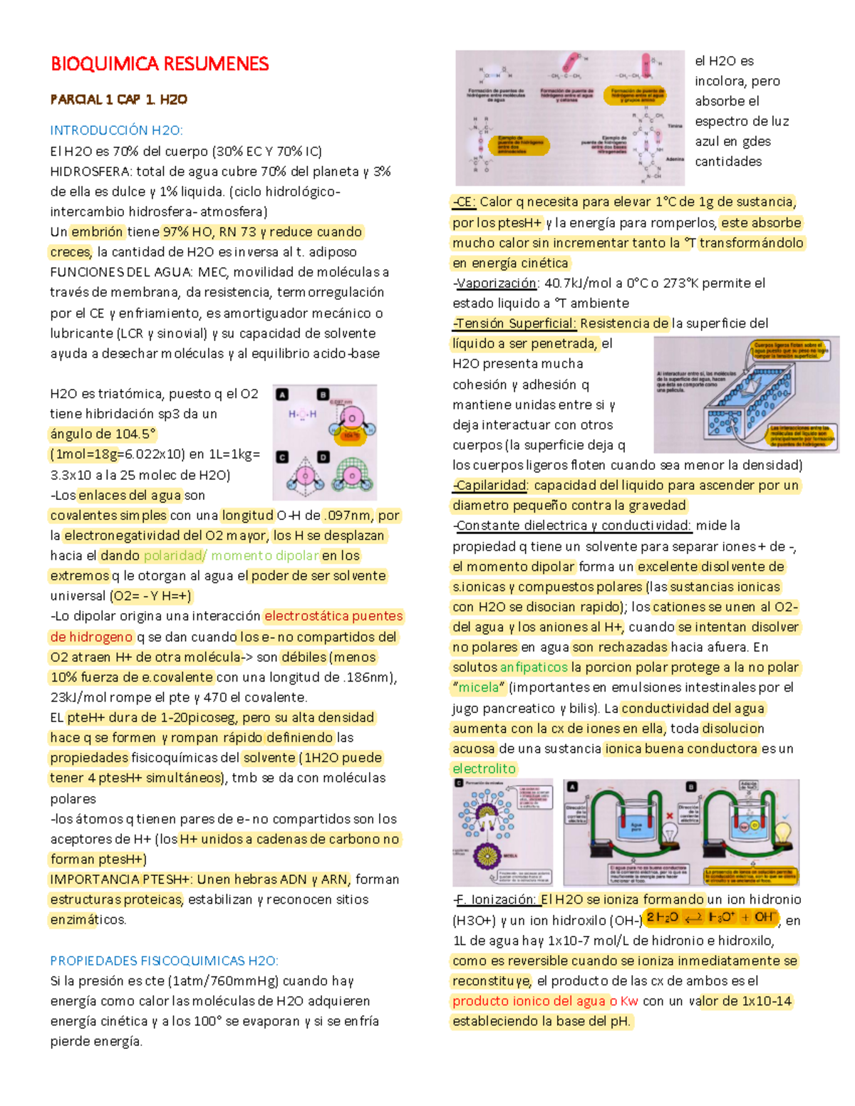 Bioquimica 1 Resumen - BIOQUIMICA RESUMENES PARCIAL 1 CAP 1. H2O ...