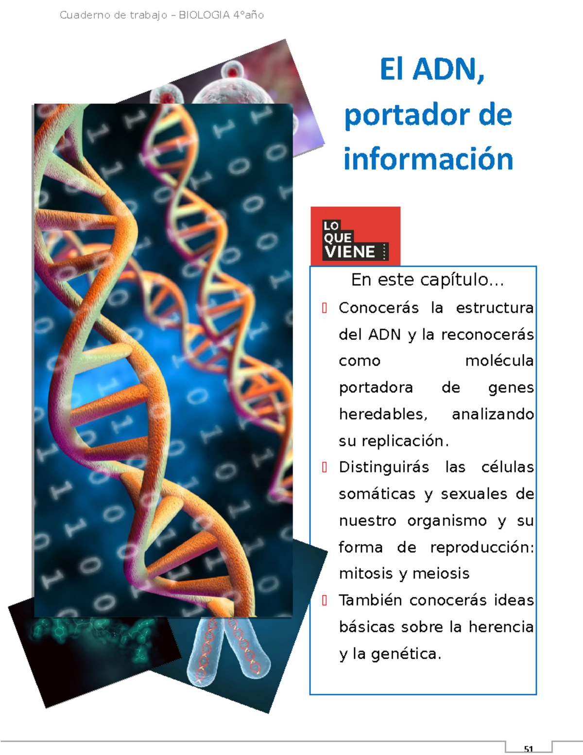 I-núcleo celular;ADN;genetica - Cuaderno de trabajo – BIOLOGIA 4°año El ...