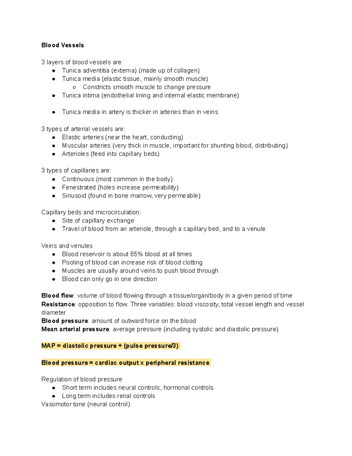 Blood Vessels Anatomy Key Concepts Basic Review/Summary - Blood Vessels ...