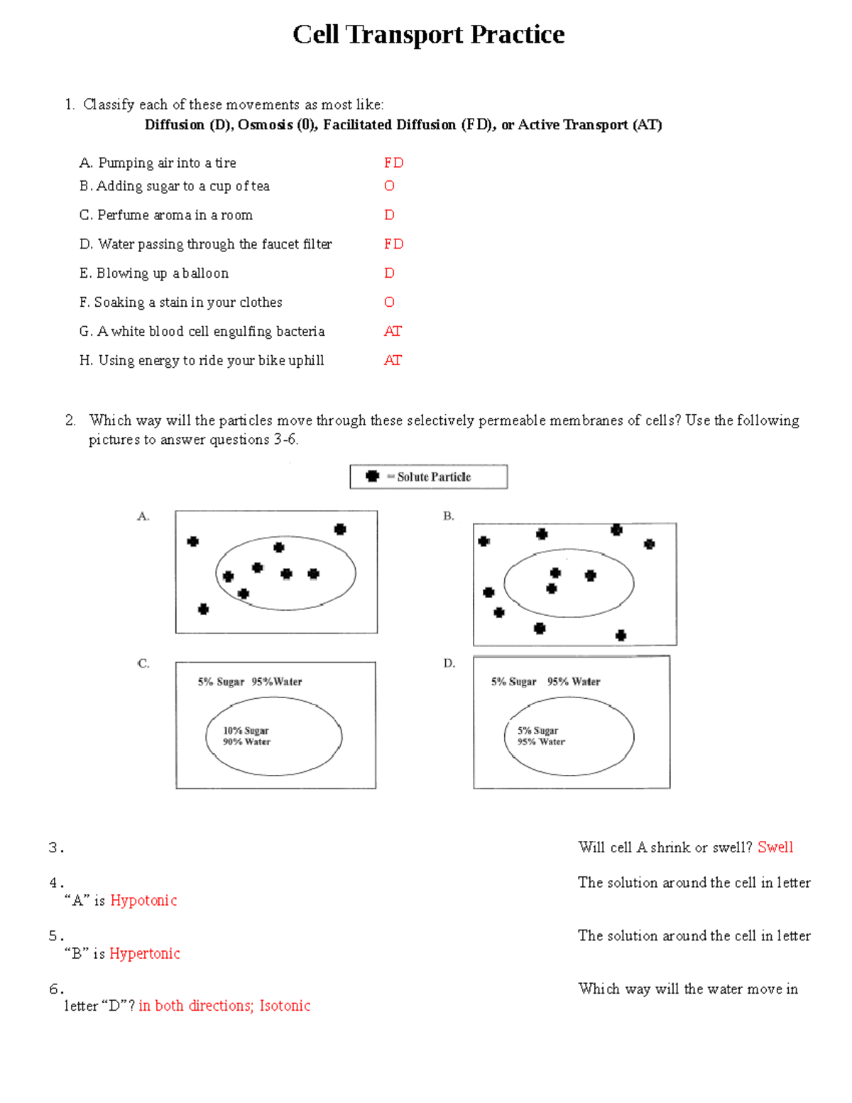Cell transport practice - Cell Transport Practice 1. Classify each of ...