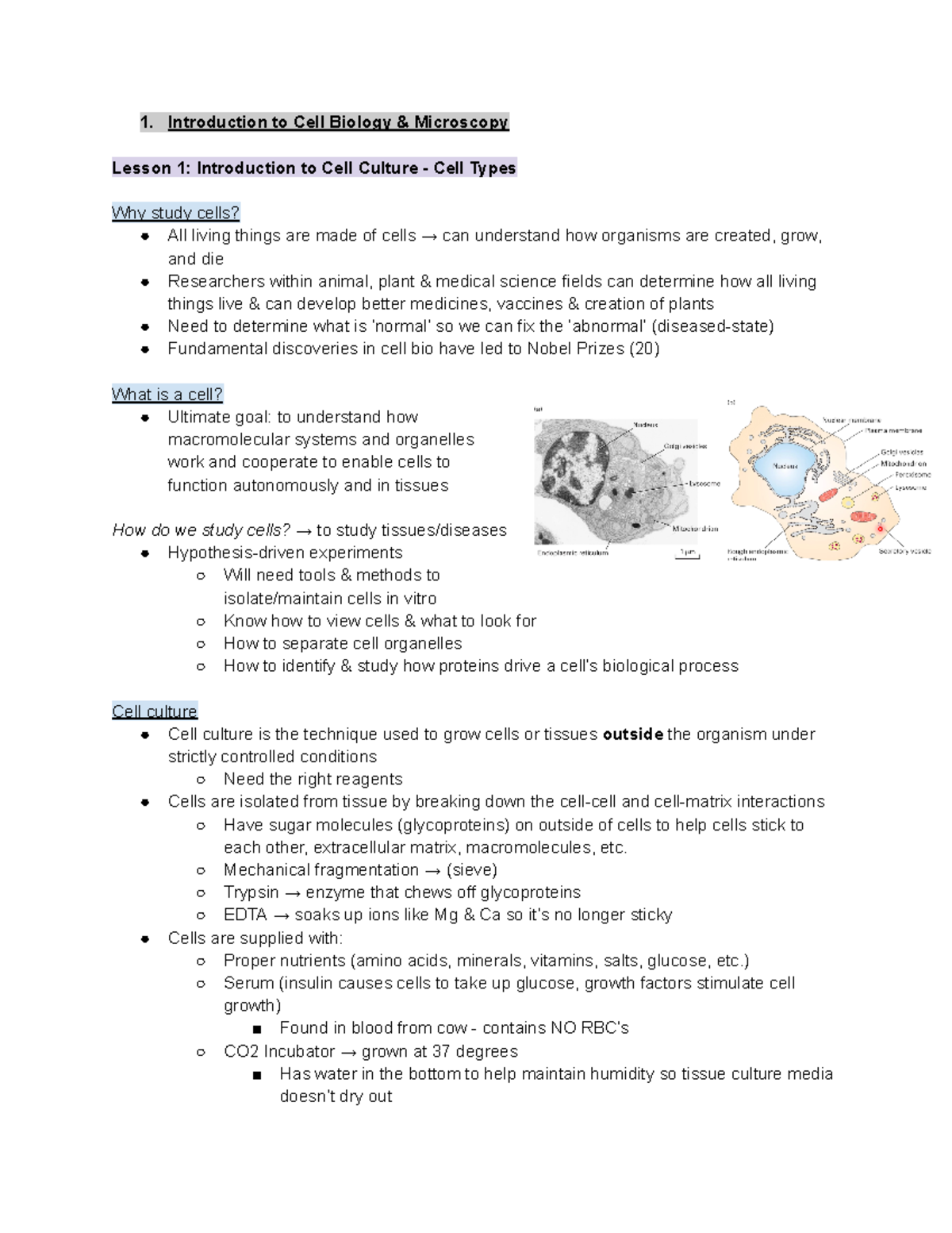 Lecture Notes on Cell Biology & Microscopy (BIO101) - Introduction to ...