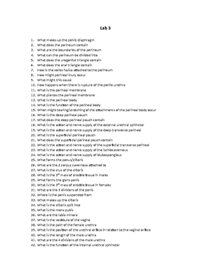 Lab 4 - Kathy Quane, Anatomy lab - Lab 4 What is the linea alba What is ...