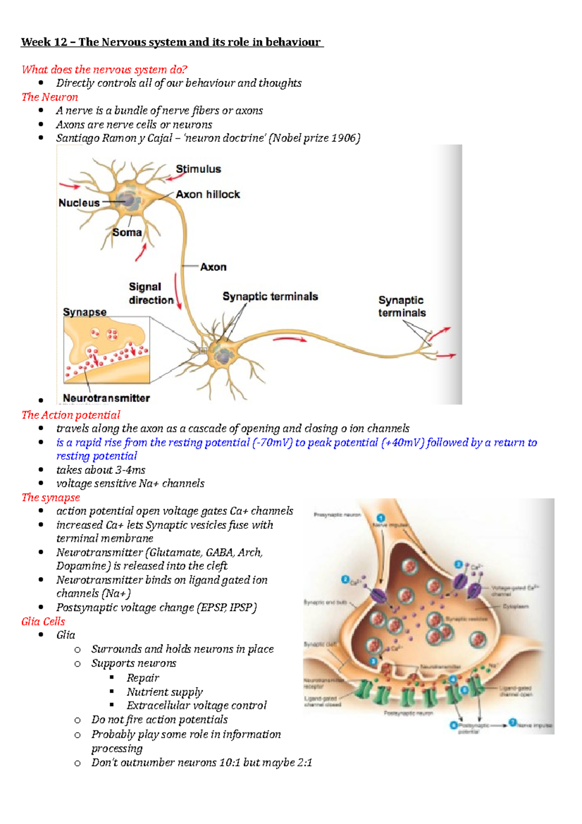 Lecture Notes Lecture 12 The Nervous System And Its Role In Behaviour Week 12 The Nervous