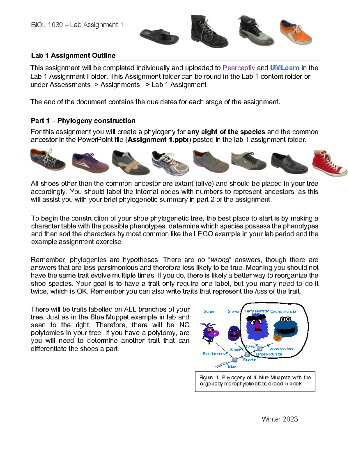 BIOL 1030 Lab 1 Assignment Outline - Lab 1 Assignment Outline This assignment will be completed ...