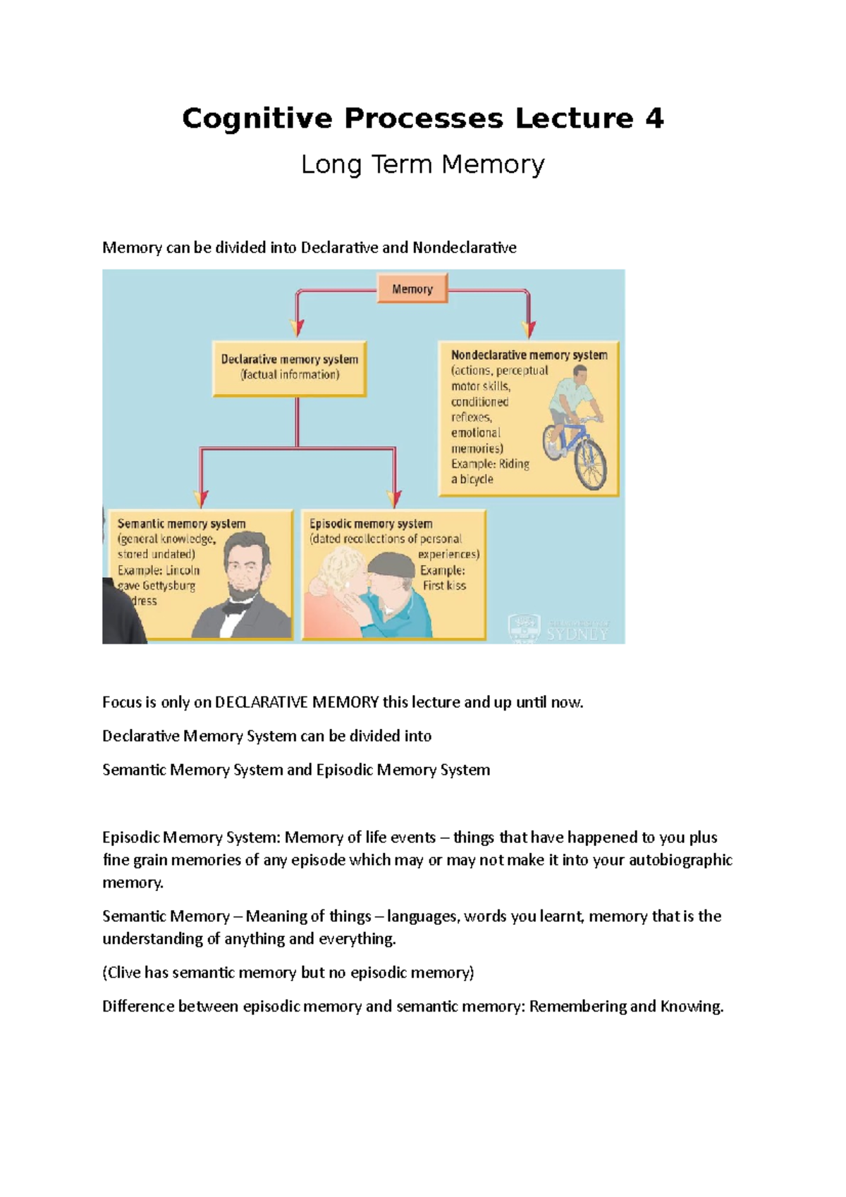 Cognitive Processes Lecture 4 - Declarative Memory System can be ...