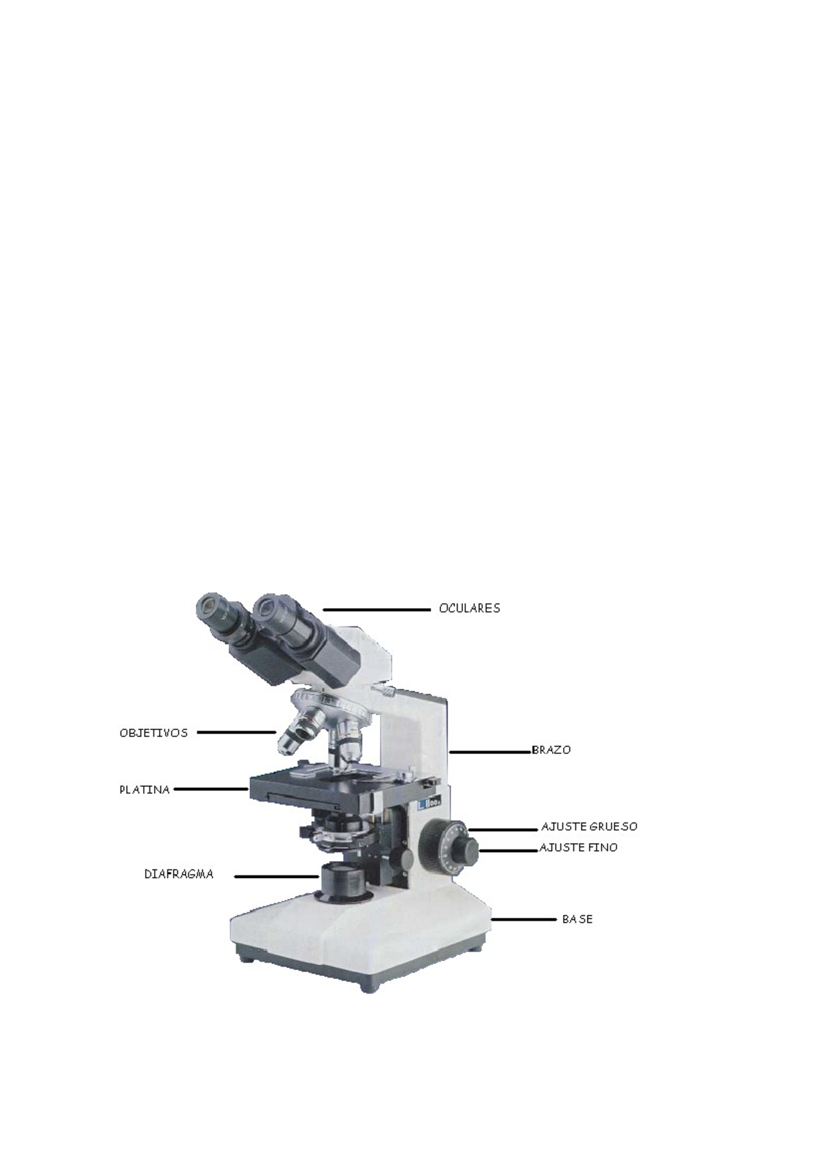 3 EL Microscopio Compuesto - UNIVERSIDAD DE LAS FUERZAS ARMADAS - ESPE ...
