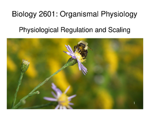 Assignment 6 Worksheet 10 - GEOG 2152: Geography of Hazards Assignment ...