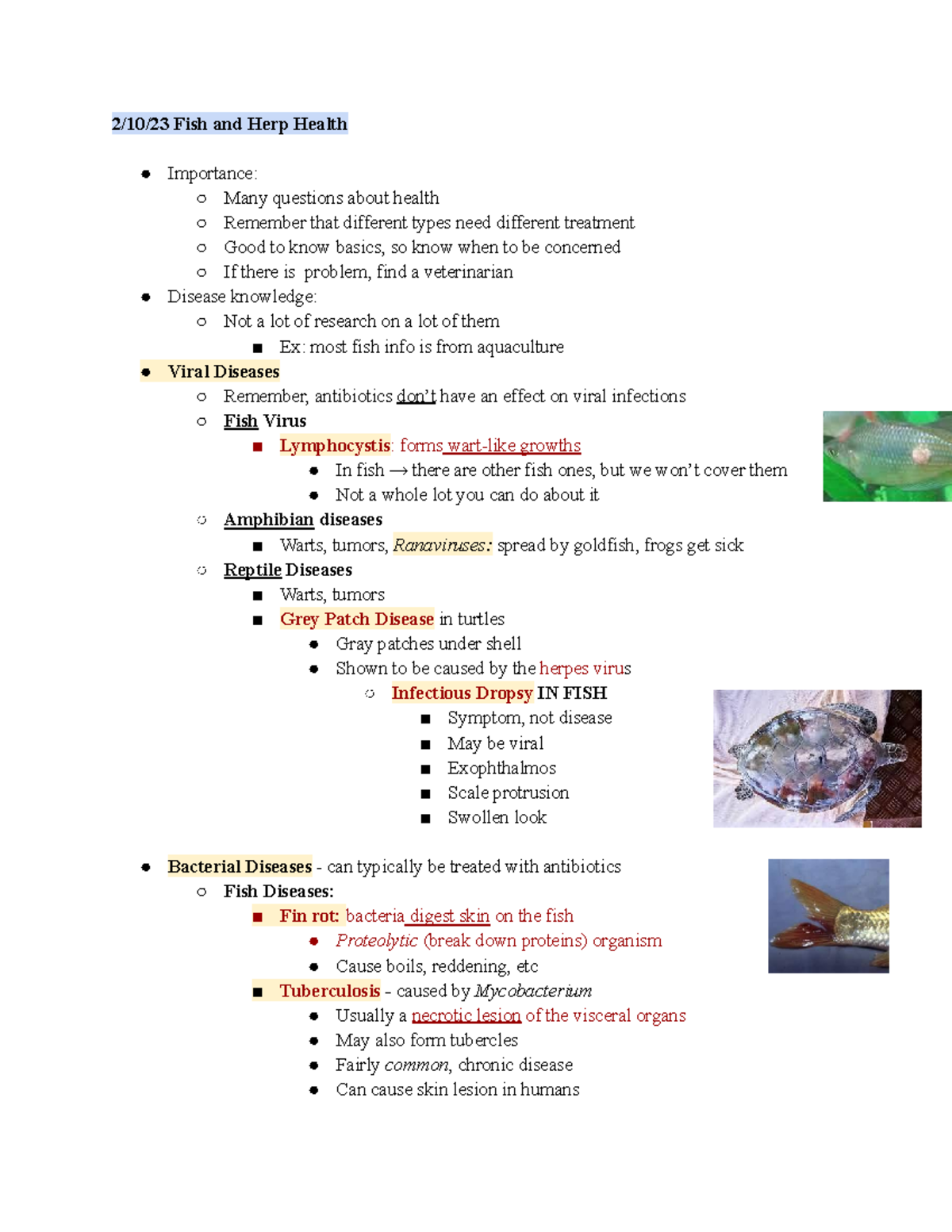 An Sci 8 - Animal Science 200 Lecture - 2/10/23 Fish and Herp Health ...