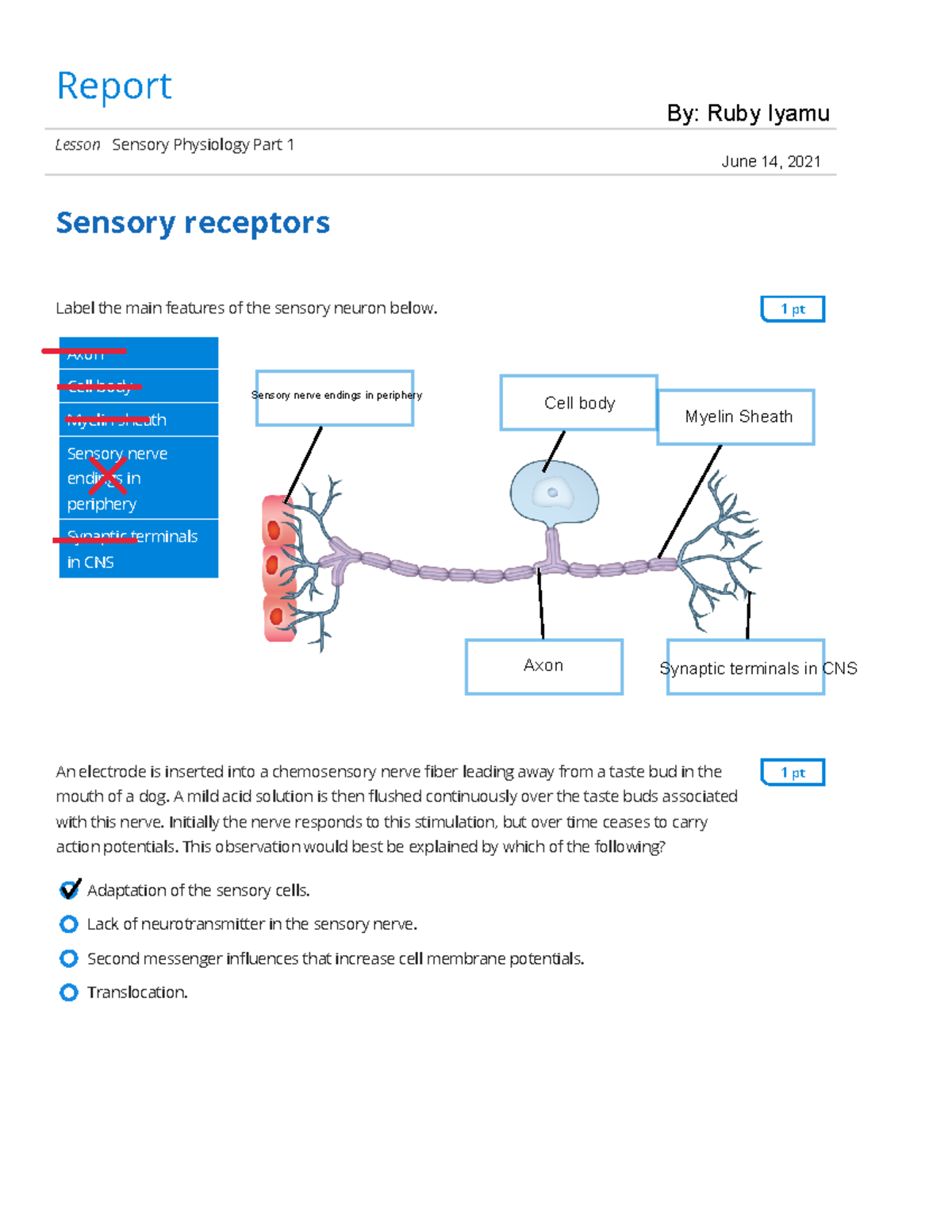 Lab 4 Sensory Physiology Quiz - Report Lesson Sensory Physiology Part 1 ...