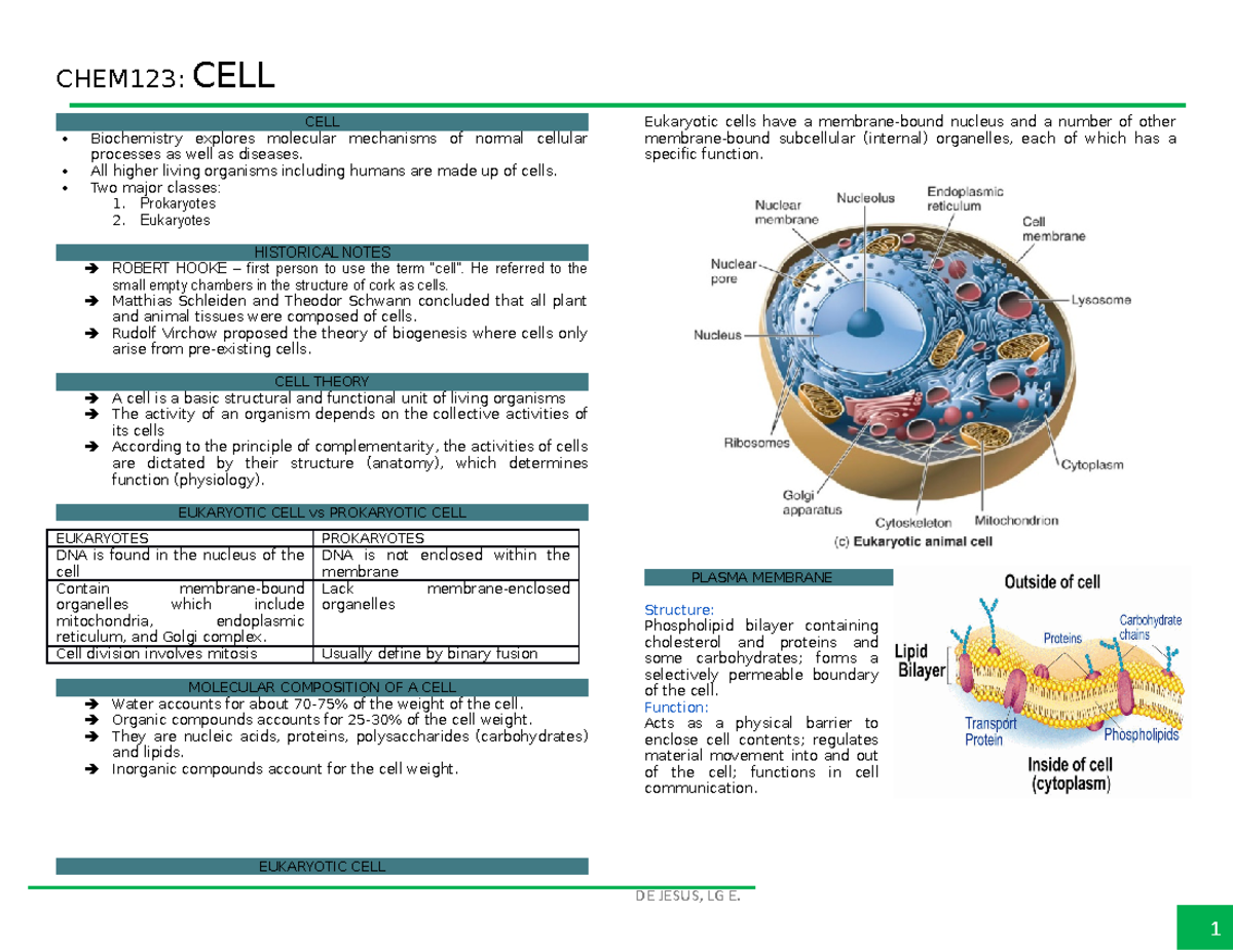 Biochem ( Module 1) LEC - DE JESUS, LG E. CELL Biochemistry explores ...