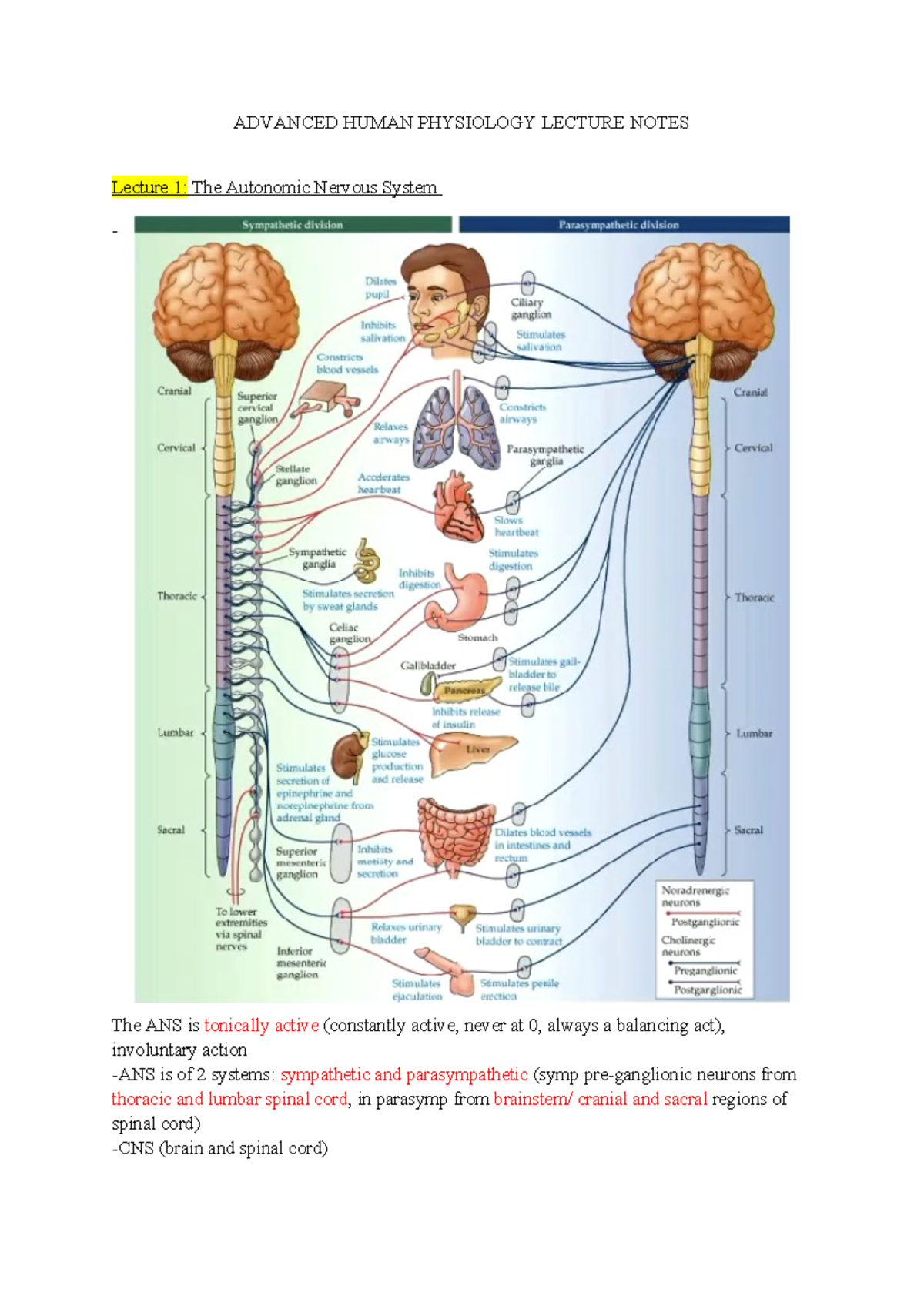 Advanced Human Physiology Lecture Notes - ADVANCED HUMAN PHYSIOLOGY ...