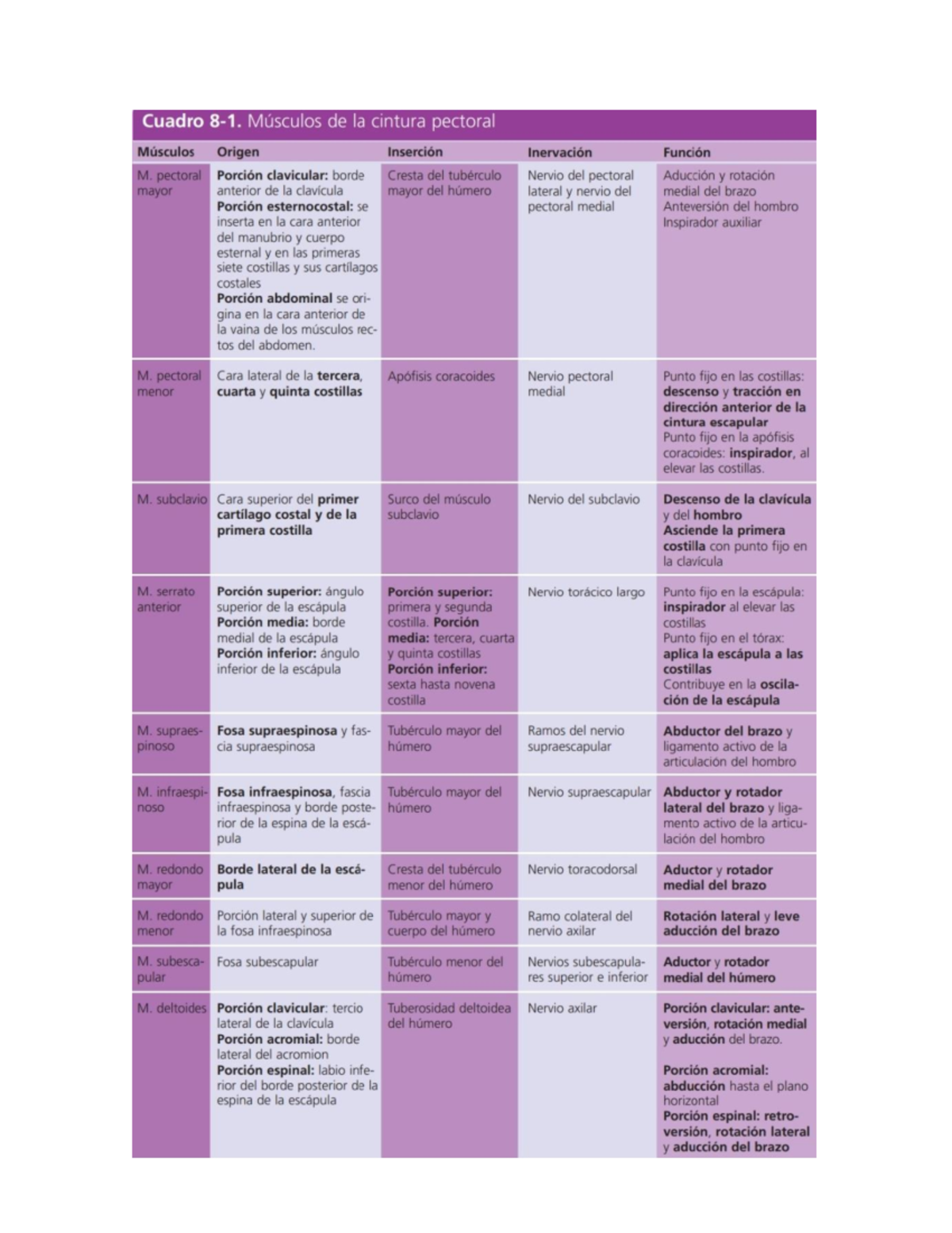 Doc1 - Anatomía - Warning: TT: undefined function: 32 - Studocu