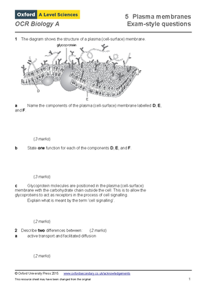 Aya Mohsin - 3.6 - Protein Structure - Exam Qs - 3 Proteins Exam ...