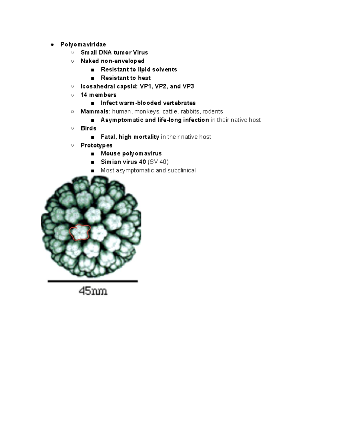 Lecture 27 Papovavirus - Polyomaviridae Small DNA tumor Virus Naked non ...