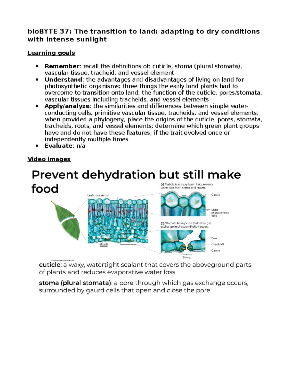 1802.Notes guide.bio BYTE 37 - bioBYTE 37: The transition to land ...