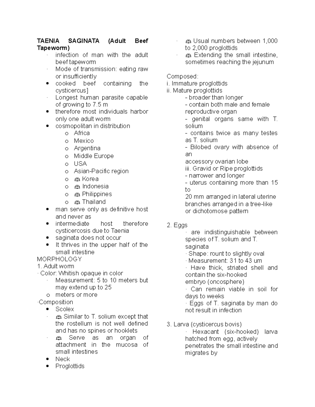 PARASITOLOGY Taenia Solium - TAENIA SAGINATA (Adult Beef Tapeworm ...