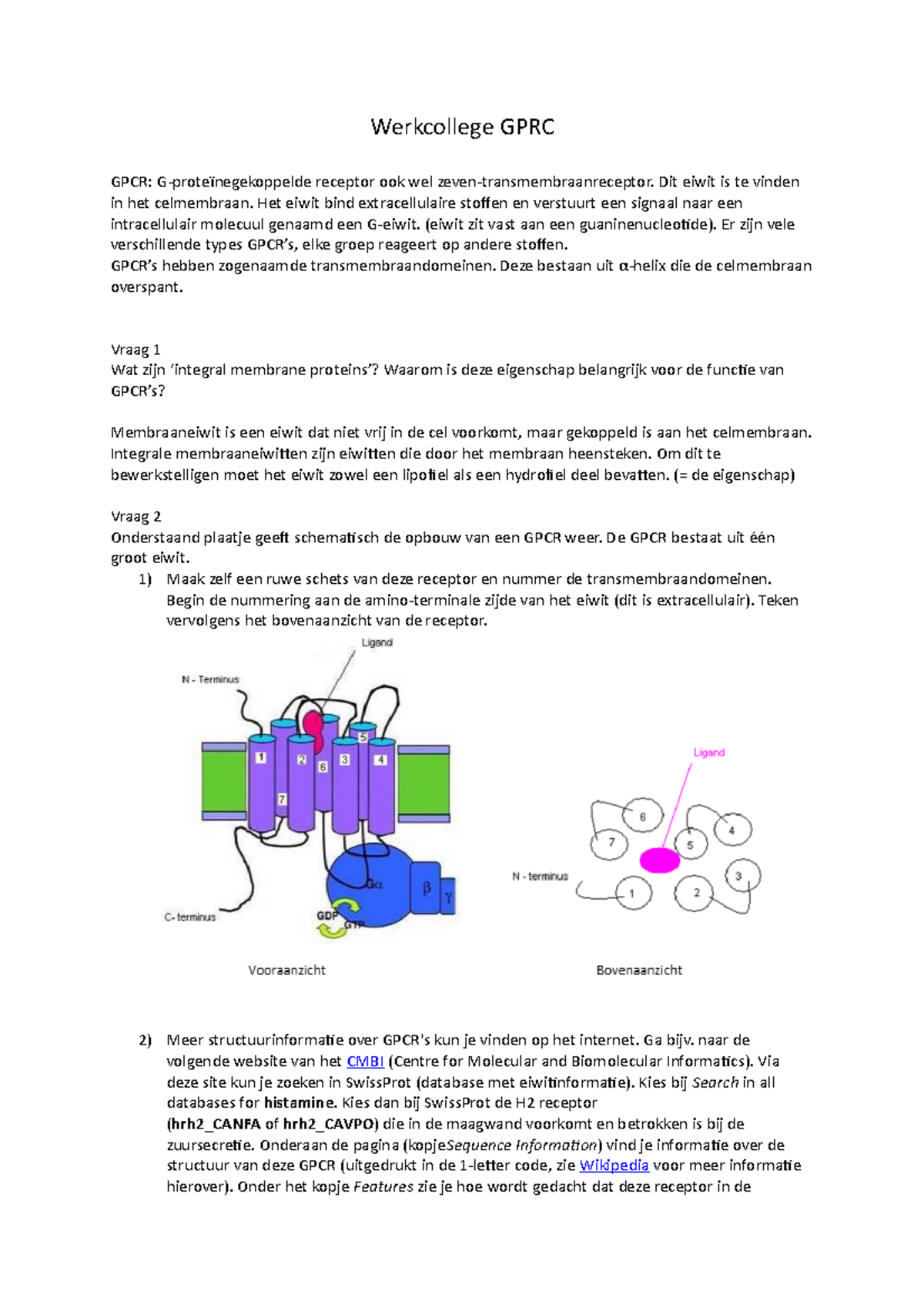 Werkgroep uitwerkingen - 1 - GPRC - Werkcollege GPRC GPCR: G ...