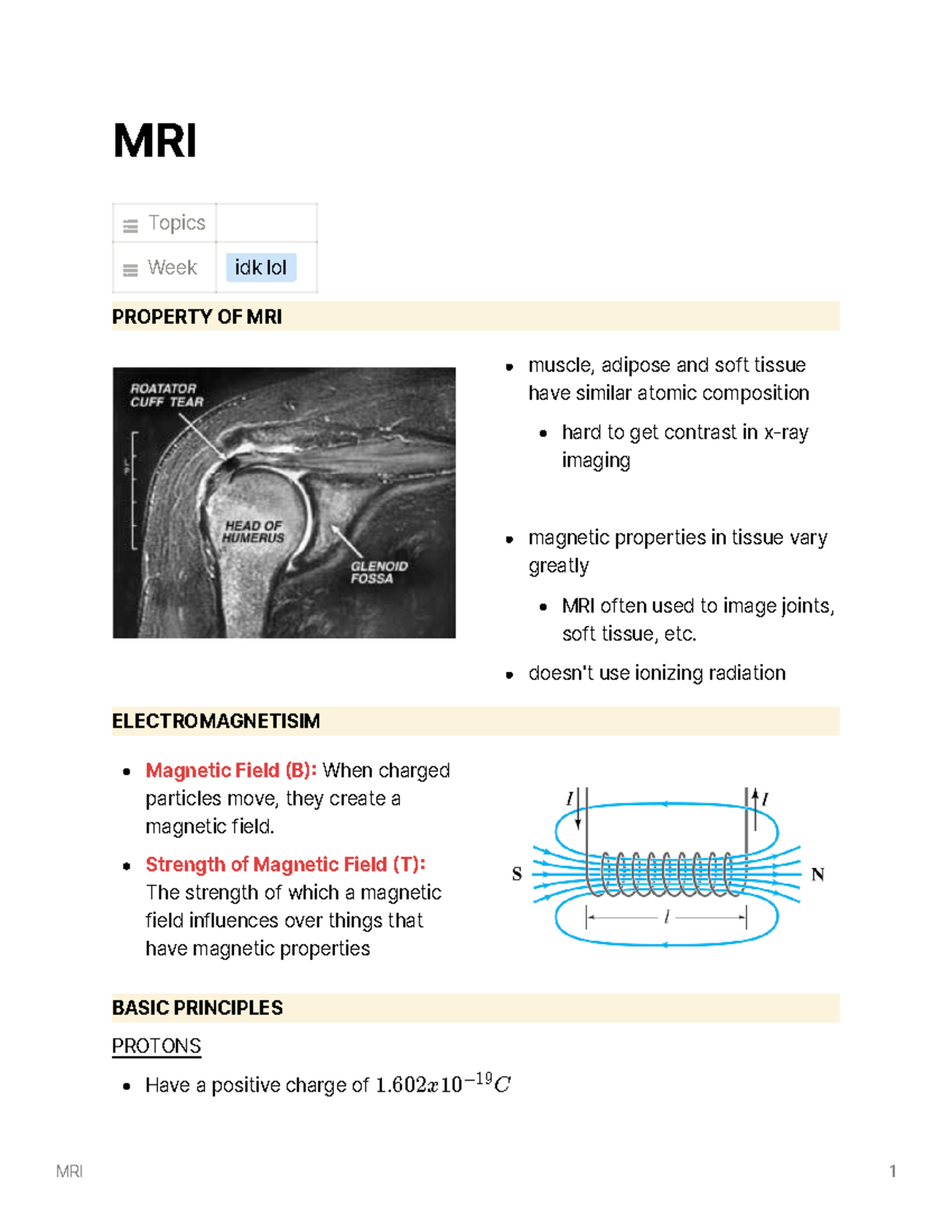 MRI - MRI, Erica Dao - MRI Topics Week idk lol PROPERTY OF MRI muscle ...