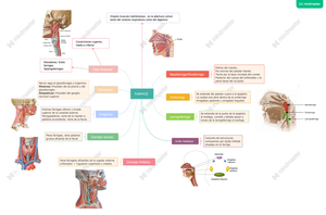 Amplecion y amplexacion - c) Amplexión y amplexación. La expansión del ...