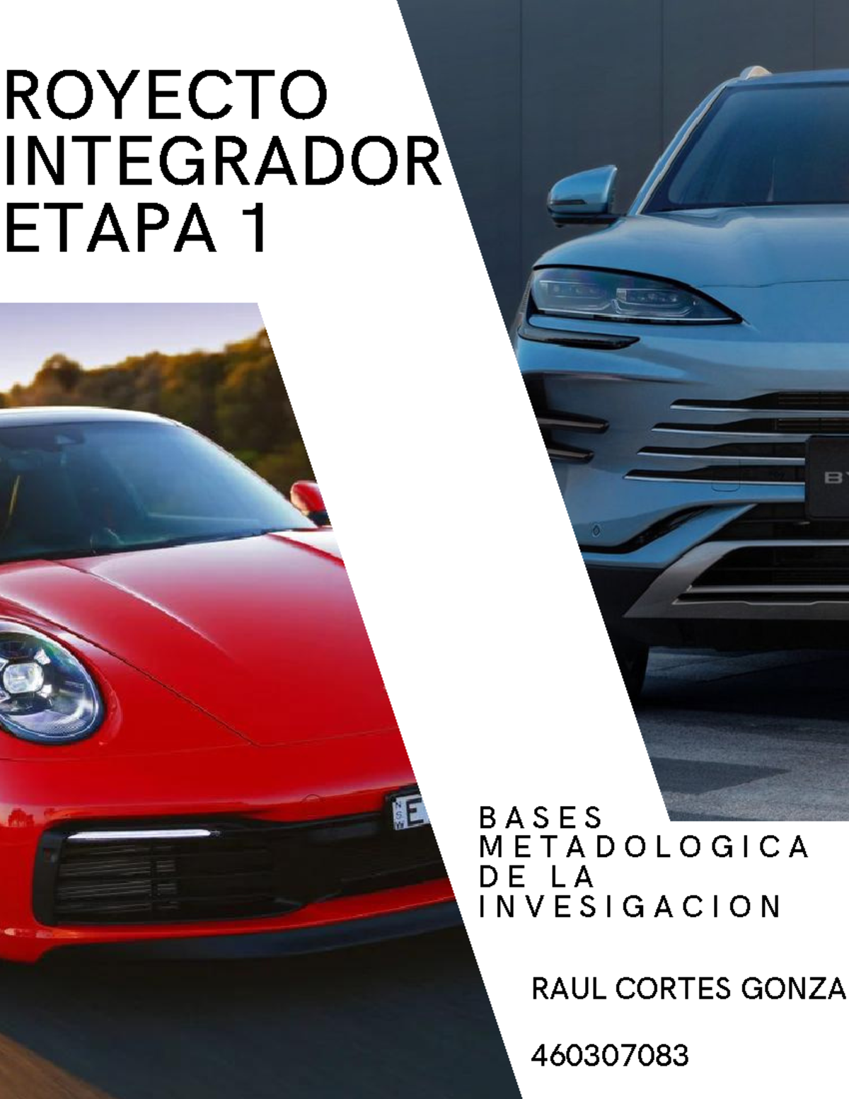 A4 RCG Bases META - ROYECTO INTEGRADOR ETAPA 1 B A S E S M E T A D O L ...