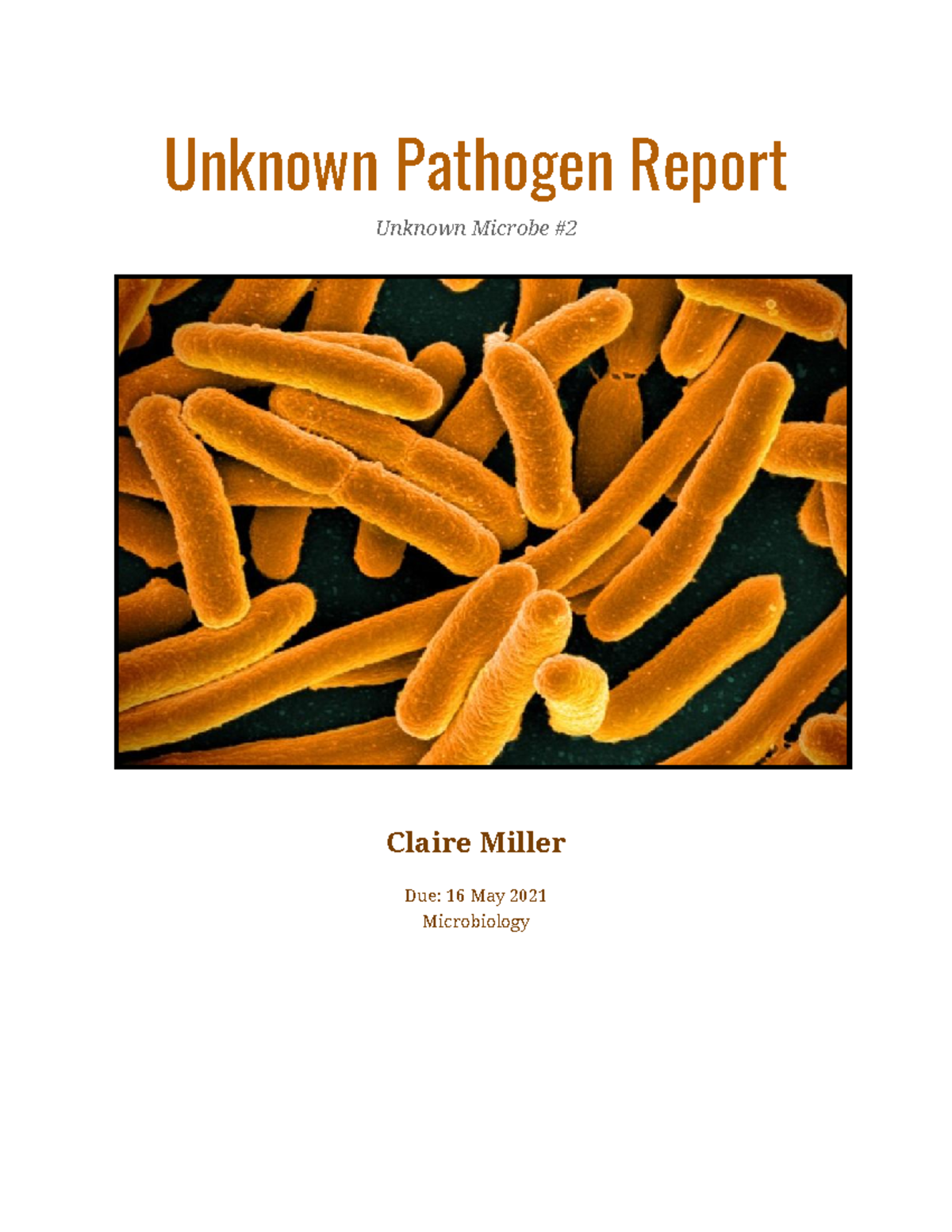 Microbiology- Unknown Pathogen Report - Unknown Pathogen Report Unknown ...