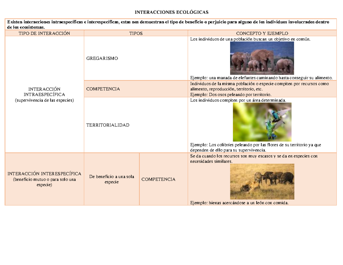 Interacciones Ecológicas 6 - INTERACCIONES ECOLÓGICAS Existen ...