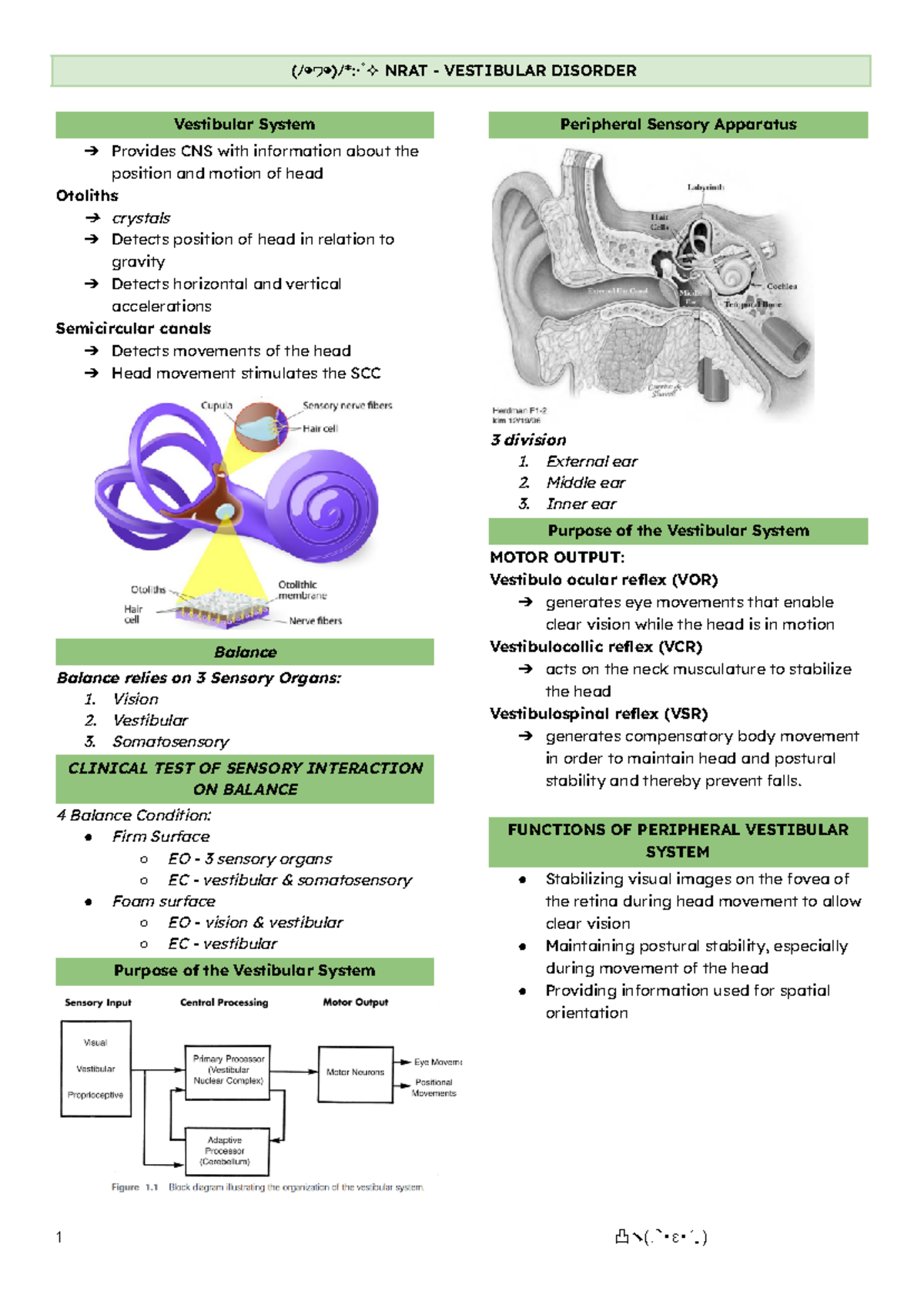 NRAT- Vestibular-D O - Vestibular System Provides CNS with information ...