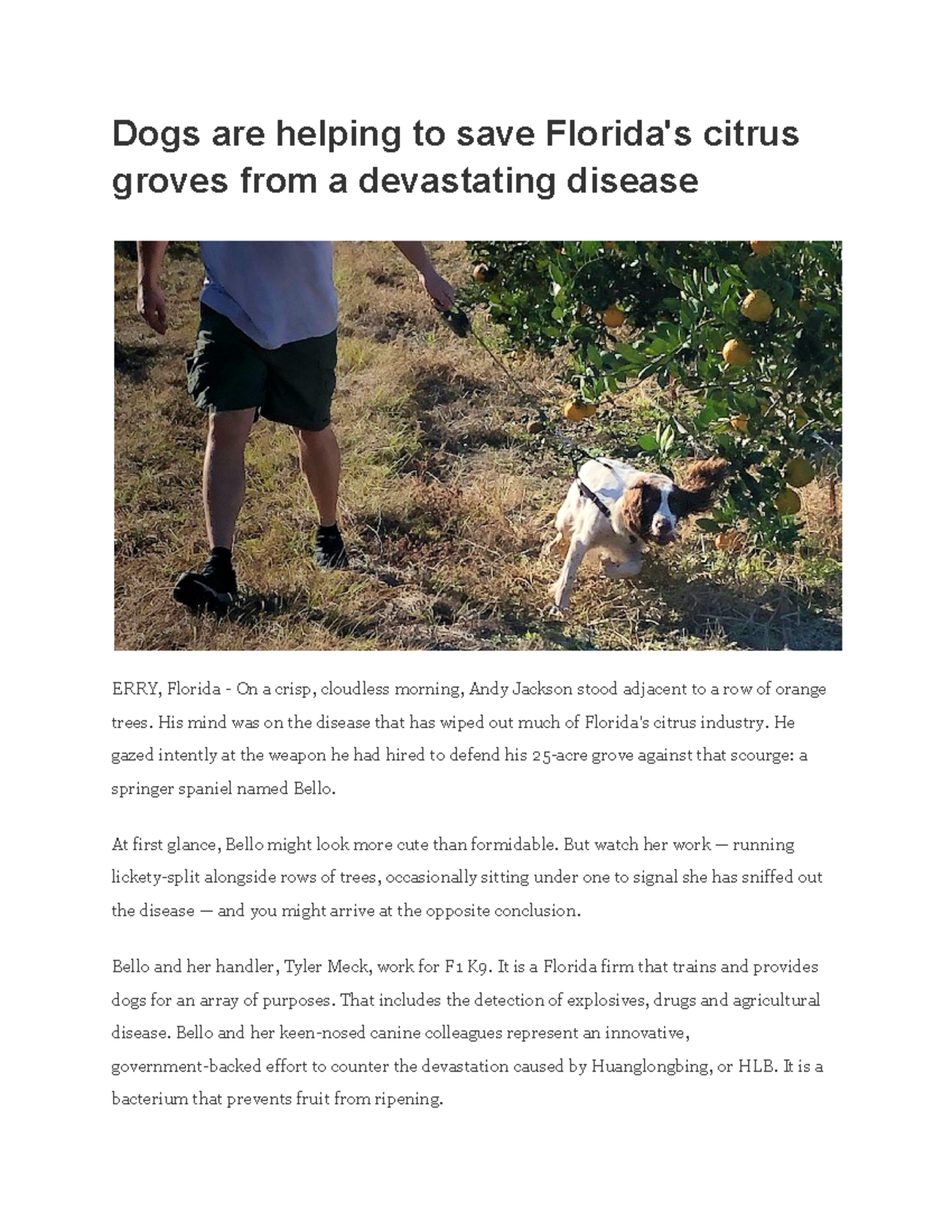 Trinity Washington - Newsela Dogs are helping Florida's Trees - Dogs ...