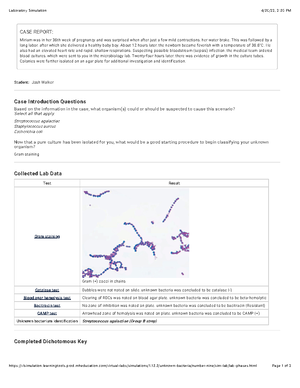 Bacterial Quantification by Culture Lab - Microbiology Bacterial ...