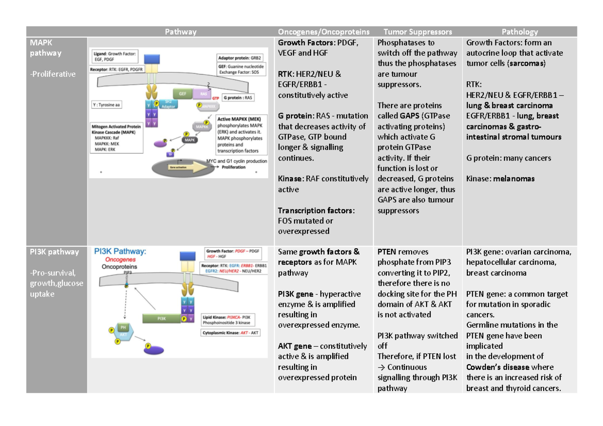 Mol-med-pathways-table copy - Pathway Oncogenes/Oncoproteins Tumor ...