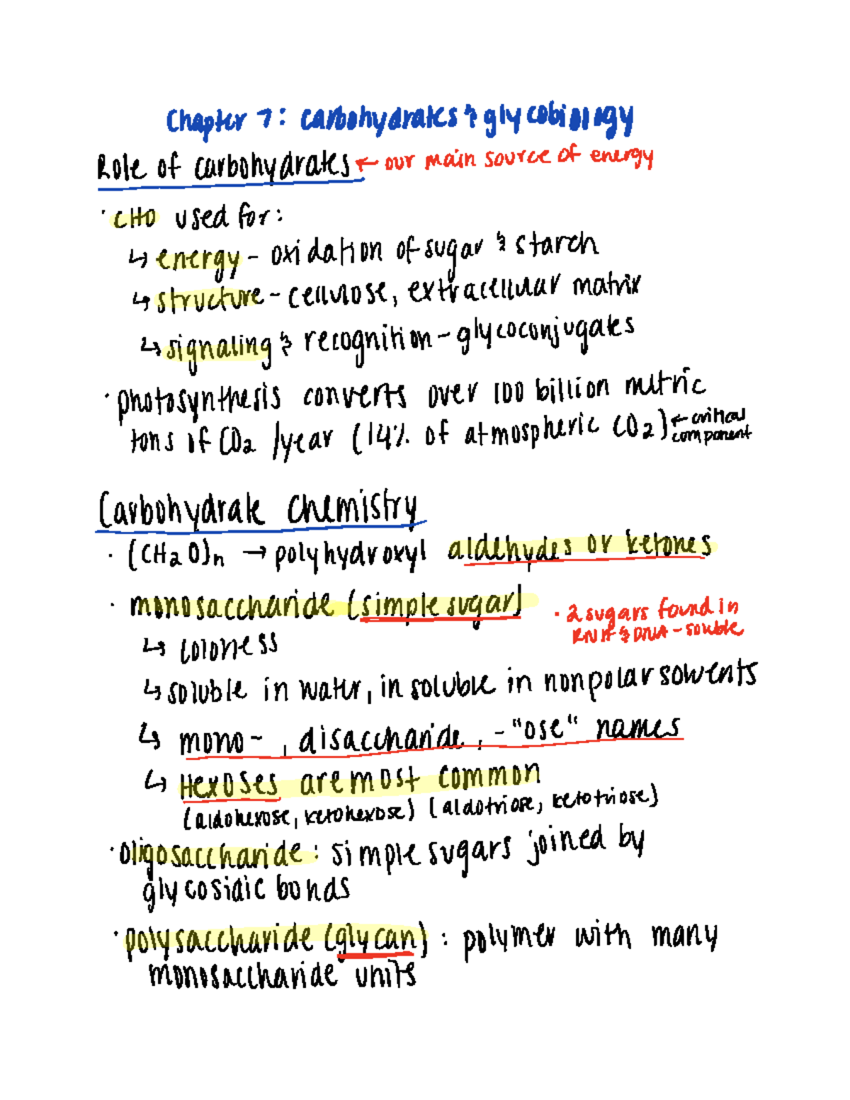 Chapter 7 Review - Summary Principles of Biochemisrty - Chapter 7 ...